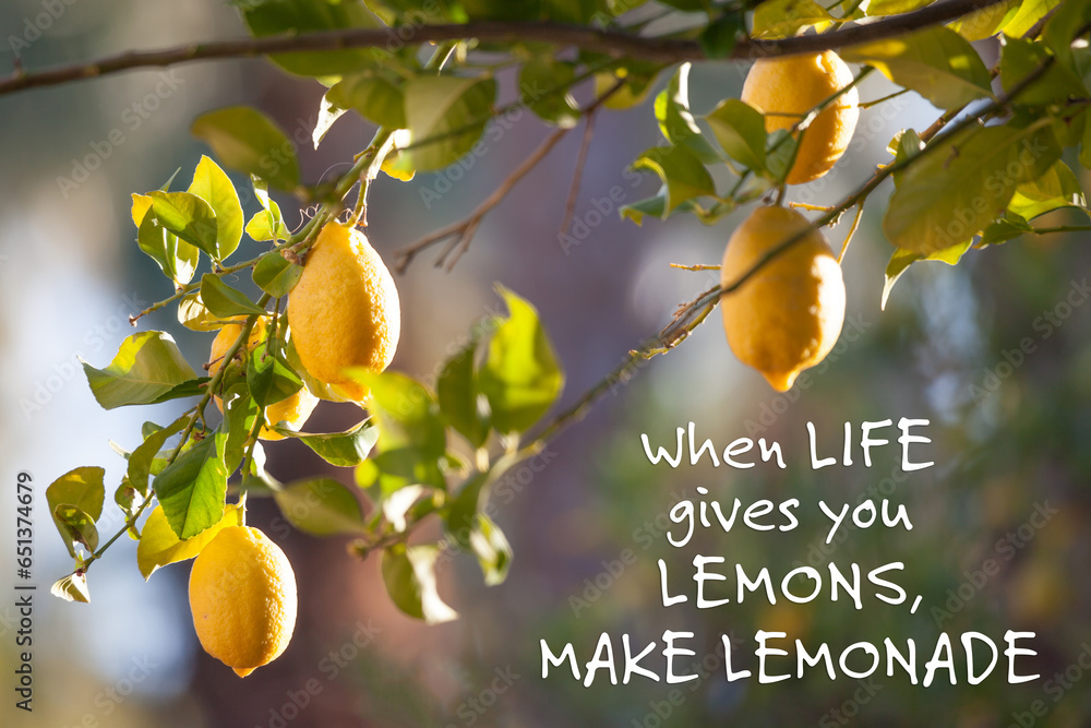 When life gives you lemons, make lemonade, inspirational quote Stock ...
