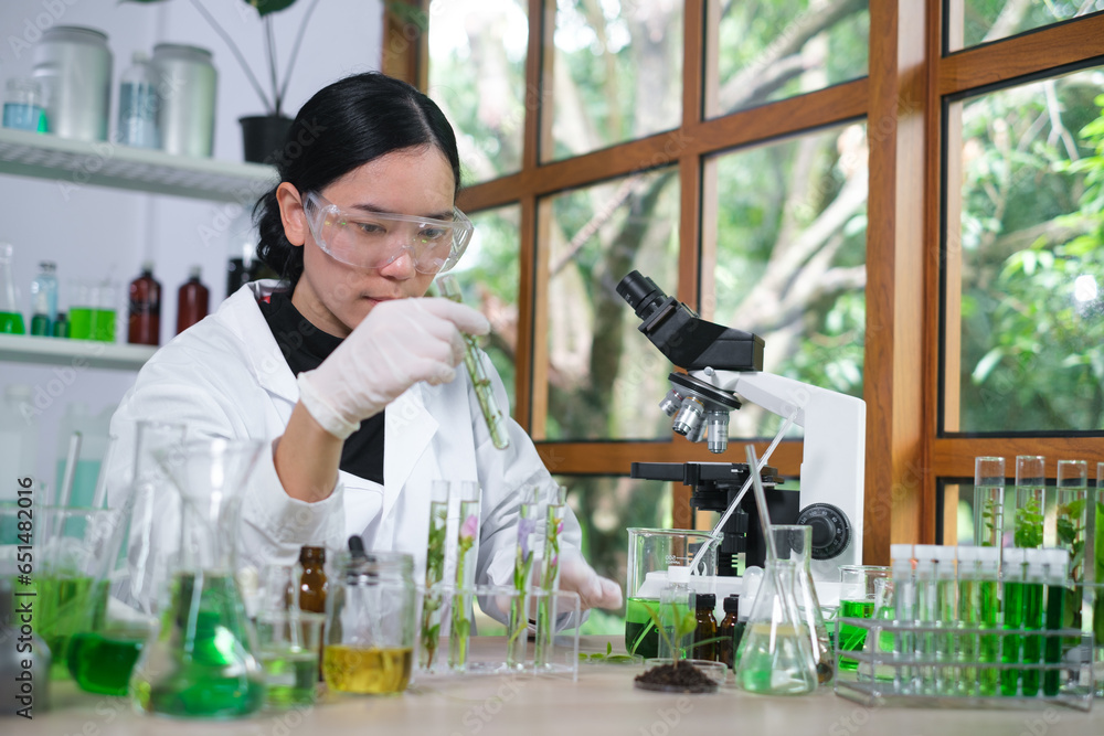 biochemist in latex gloves touching test tube with small plant. science ...