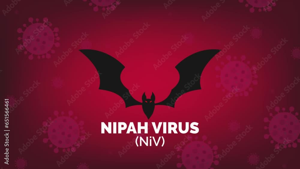 Nipah virus concept. illness outbreak. pandemic. Microscope virus close ...