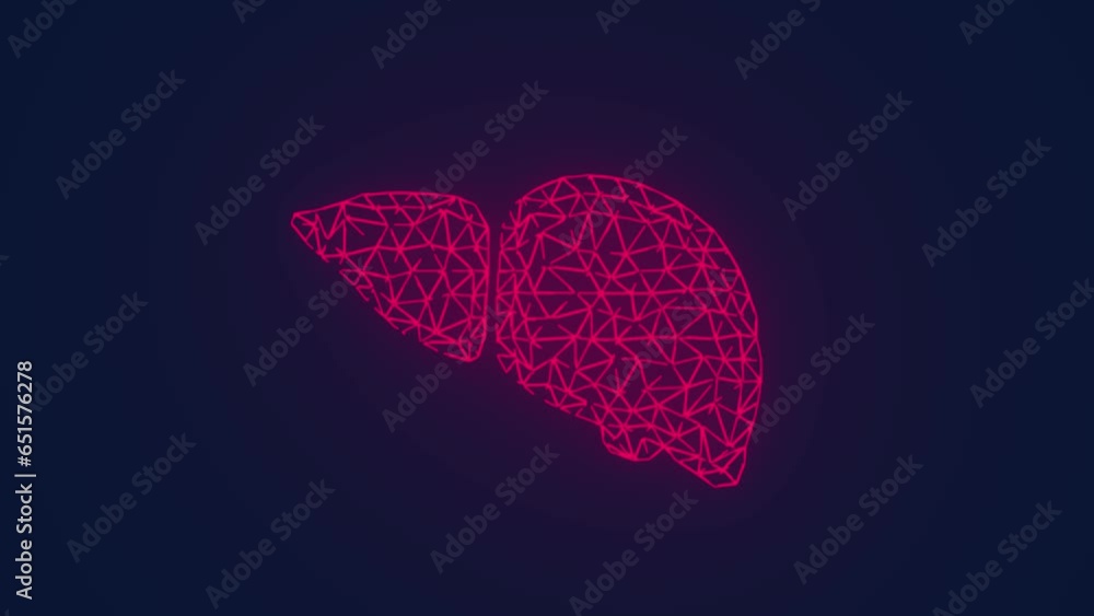 Liver human body internal organ anatomy medical animation Stock Video ...