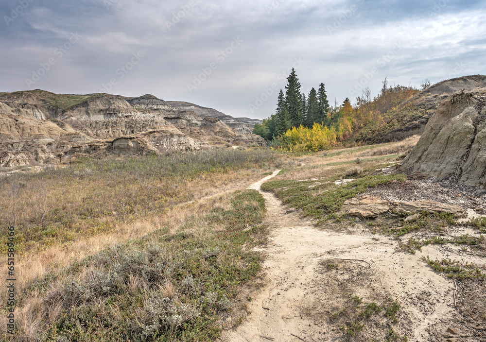 Hiking trail in the badlands of Horseshoe Canyon near Drumheller ...