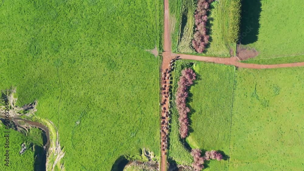 man working in agriculture. Boy riding a motorbike on a farm in outback ...