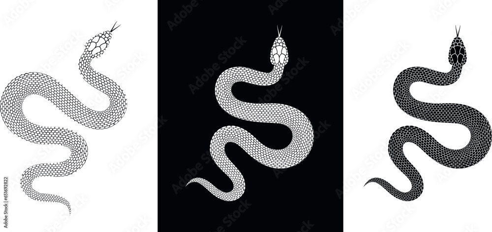 Snake logo. Isolated snake on white background Stock Vector | Adobe Stock