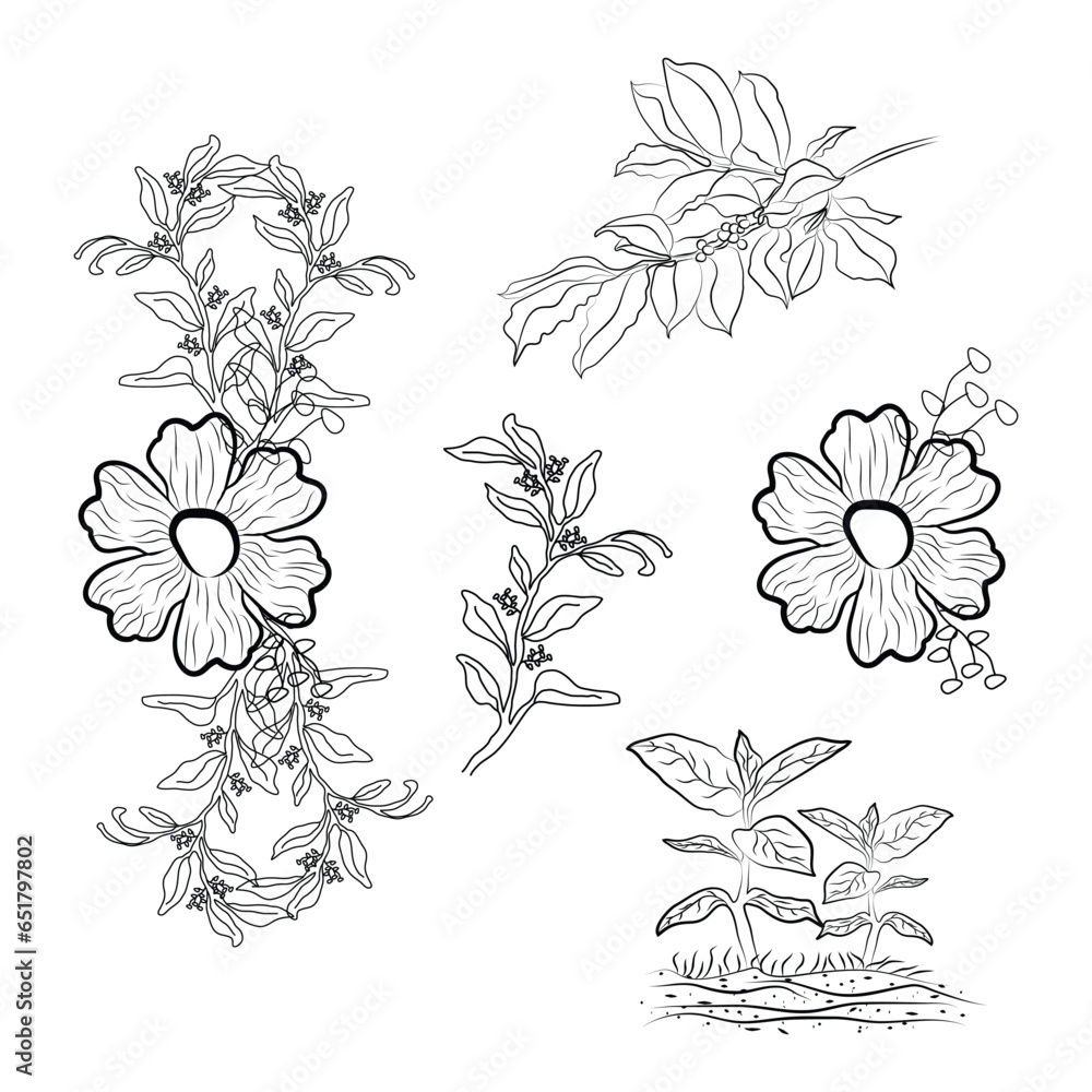 Line art various trunks and foliage of plants, forest trees. Sketch ...