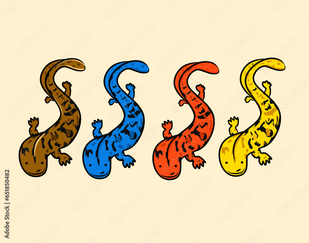 Chinese giant salamander, Andrias davidianus. Salamander vector design ...