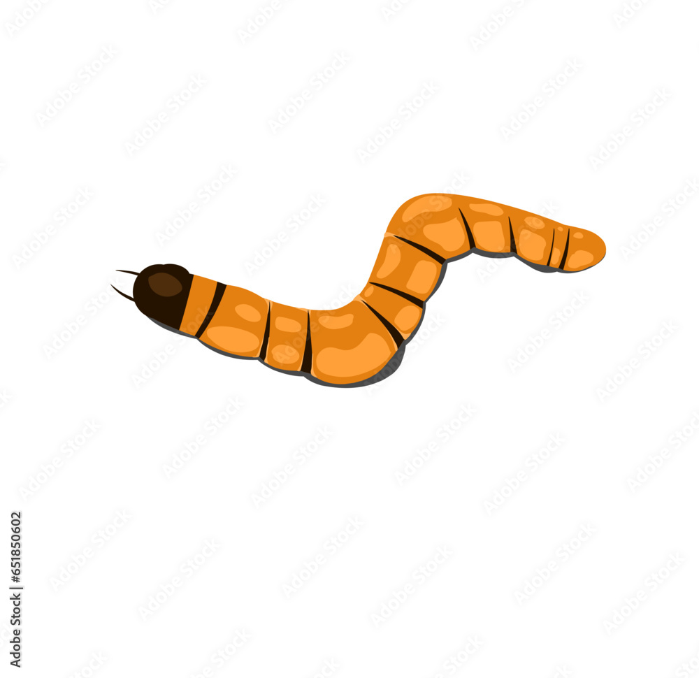 vector illustration of the larva of the mealworm beetle. Tenebrio ...