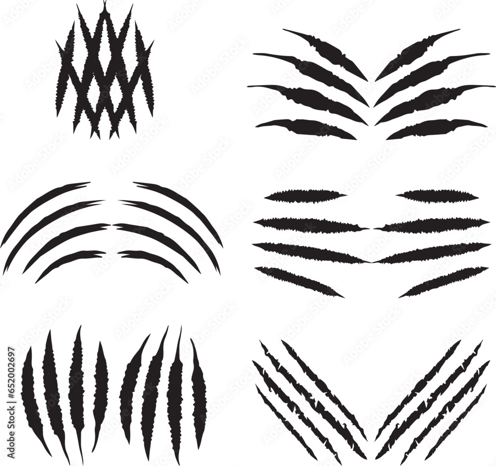 Realistic Claw Marks, Scratches And Torn Traces Of Vector Animal Paw ...