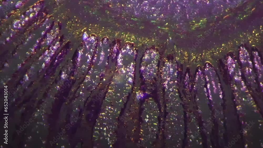 Macro footage of human colon tissue taken for medical check and ...