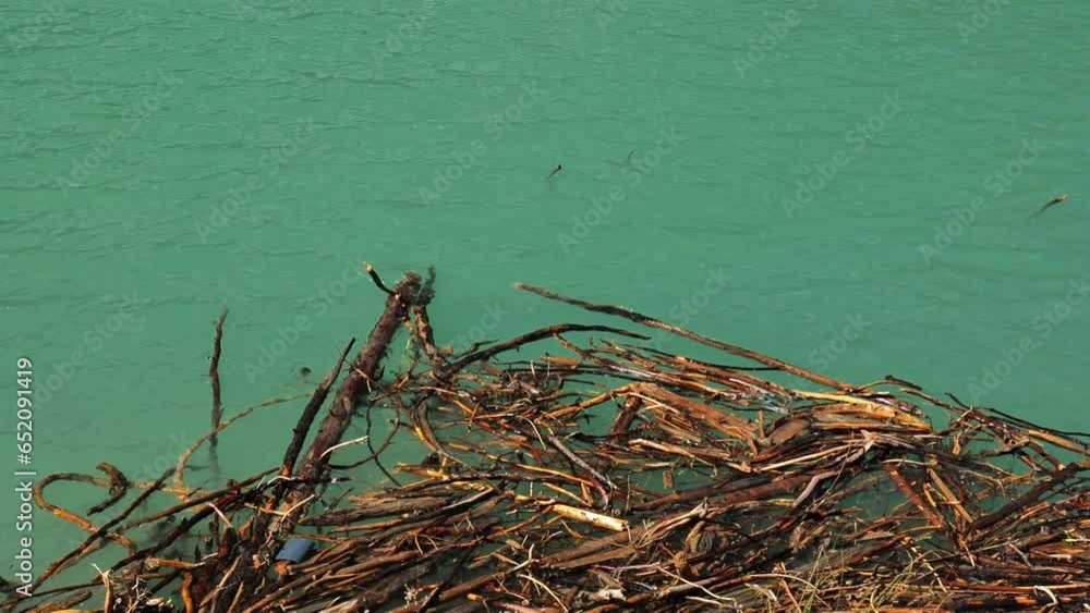 Floating driftwood and water background.Marine wallpaper. Driftwood in ...