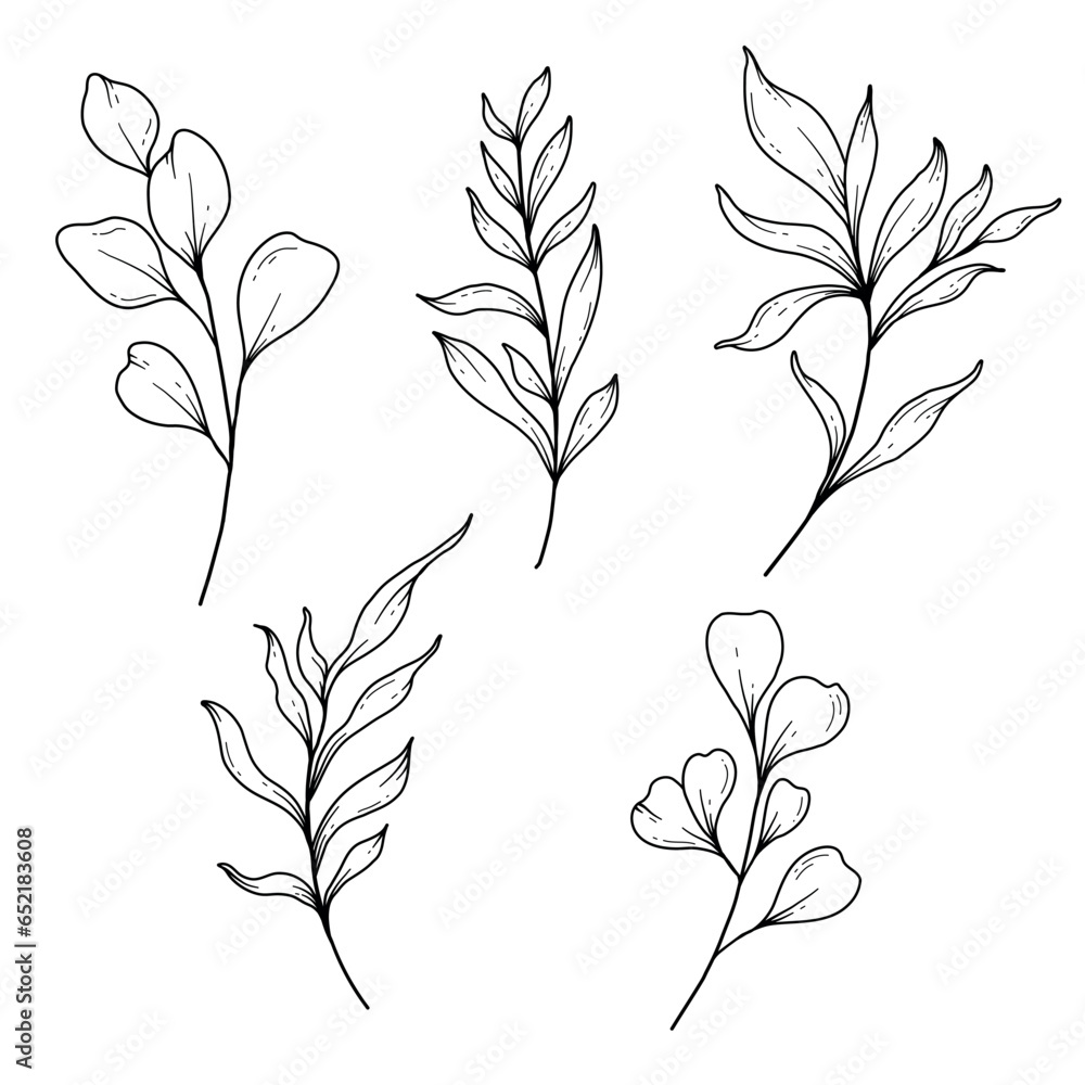 Eucalyptus Greenery Line Art, Fine Line Leaves Hand Drawn Illustration ...
