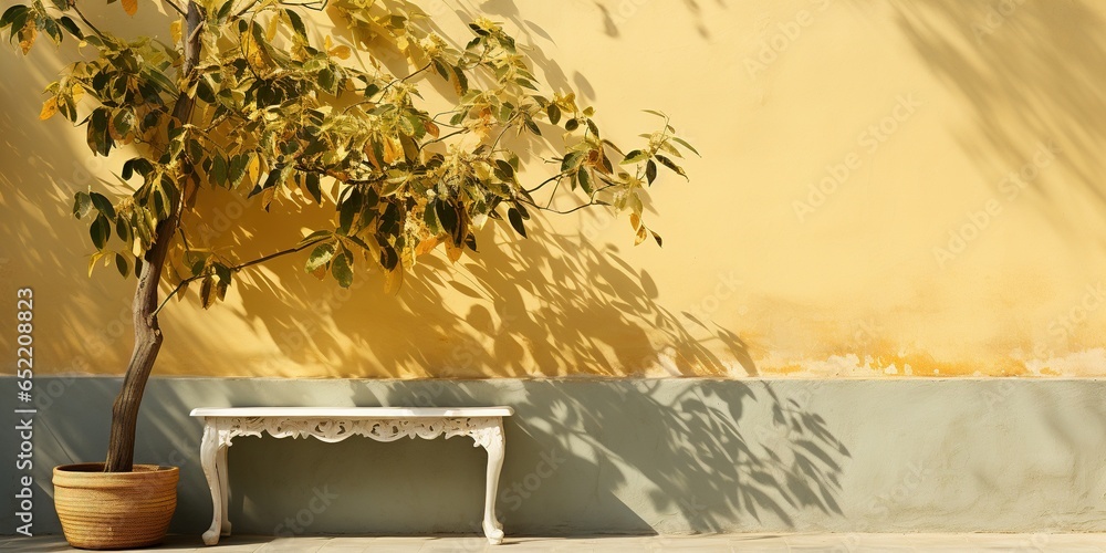 Shadows of leaves, plants on the wall and sidewalk. Tree silhouettes ...