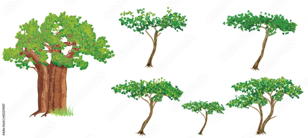 Set of african jungle trees, into which it have inserted in also an old ...