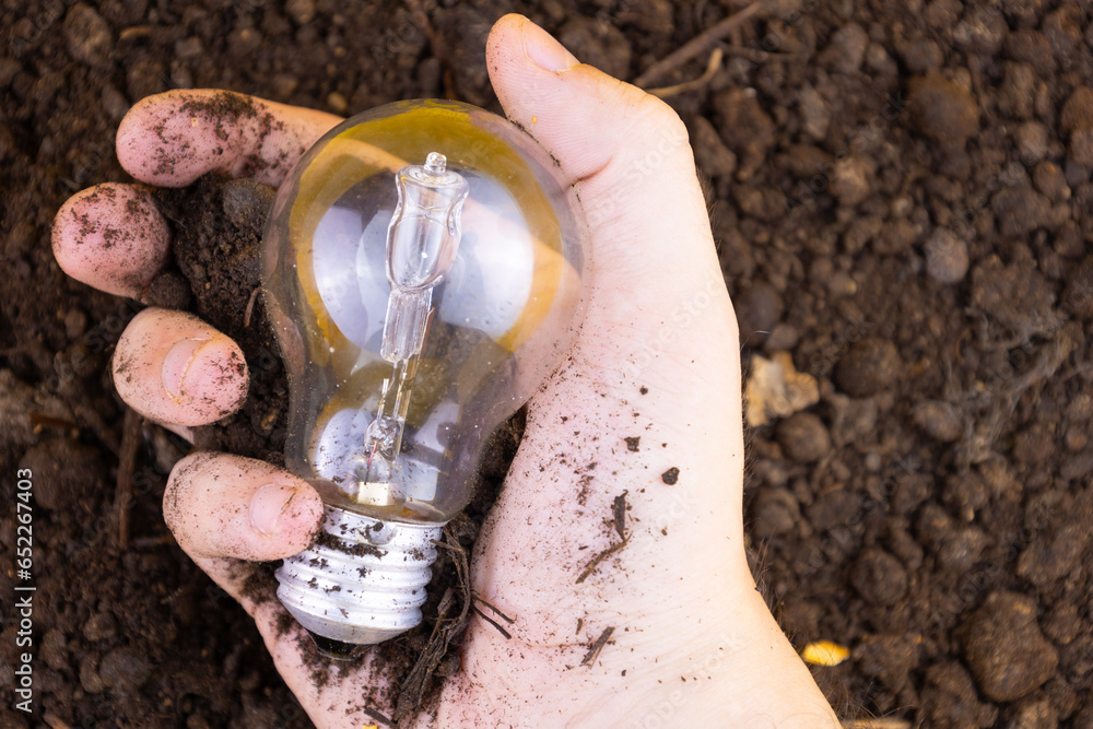 light bulb in hand on soil background, close-up, symbolizes renewable ...