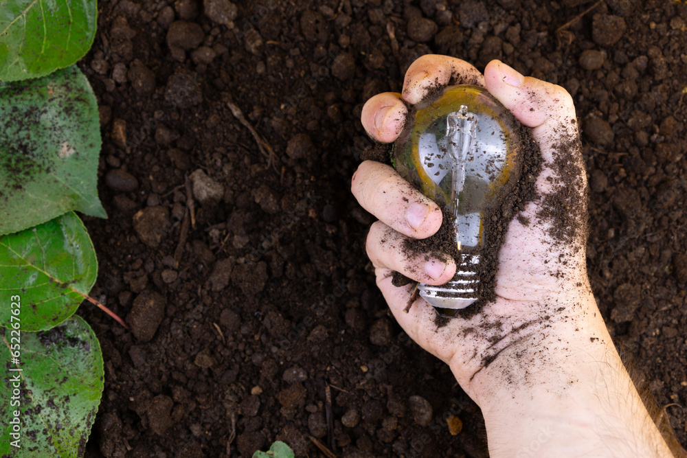 hand holding a lightbulb on soil background, symbolizes renewable ...