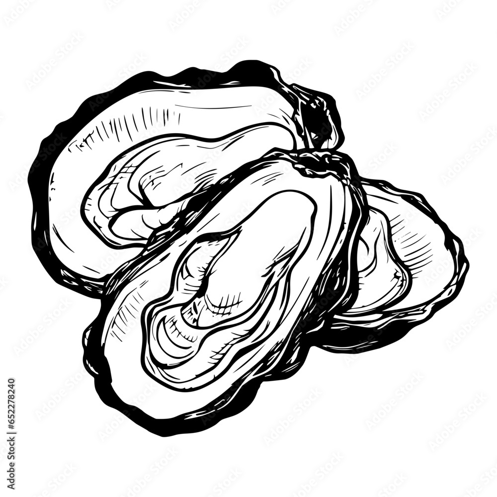 oysters profile prepared isolated on white background. Seafood. Vector ...