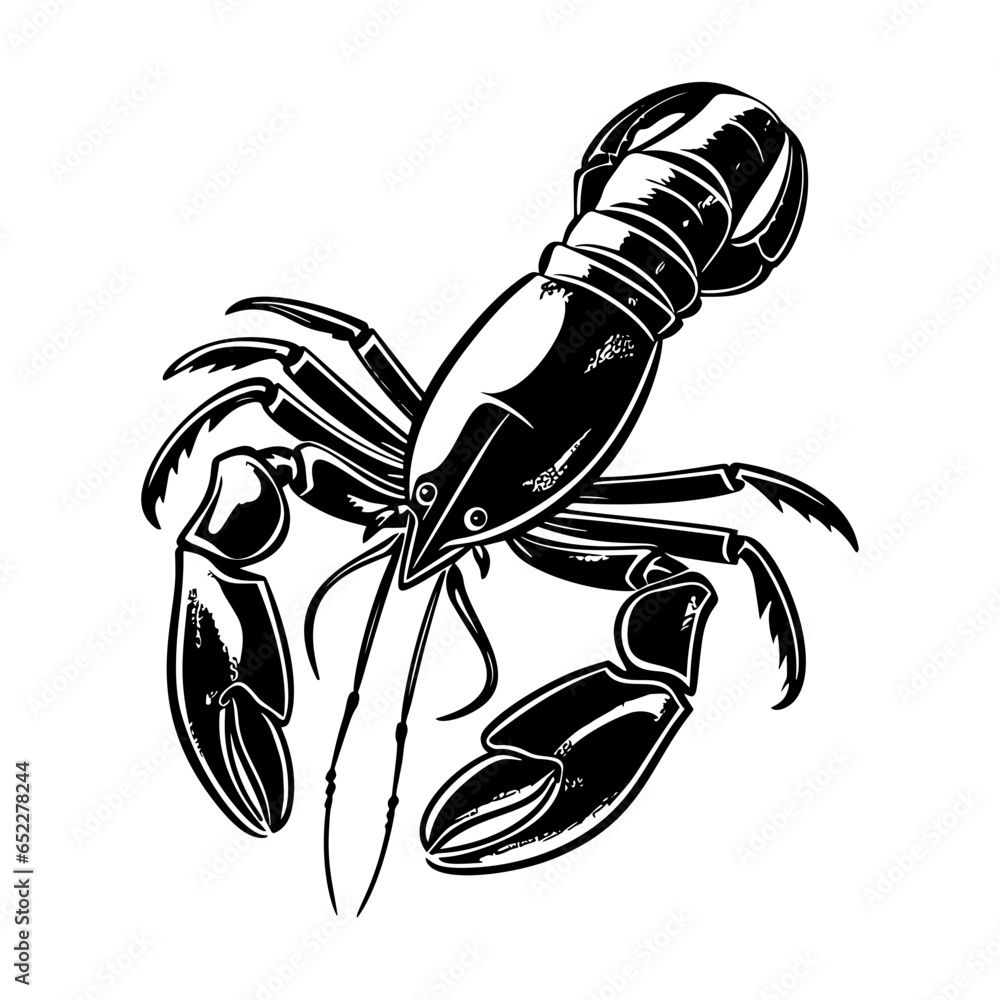 Spiny lobster profile prepared isolated on white background. Seafood ...