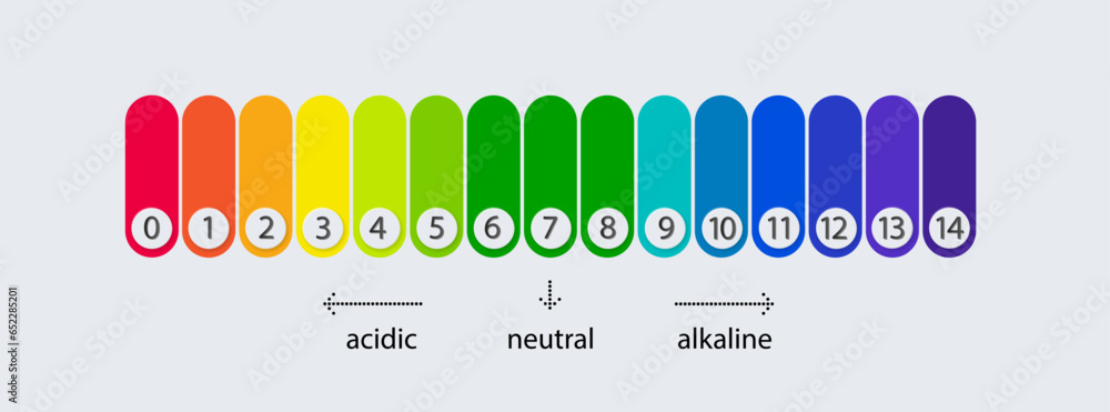 pH scale chart for acid and alkaline solutions. Acid-base balance ...