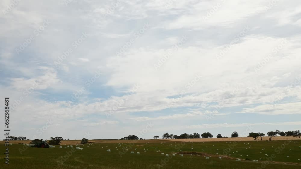 Vidéo Stock Loading a truck carting hay and silage on a farm. Hay roll ...
