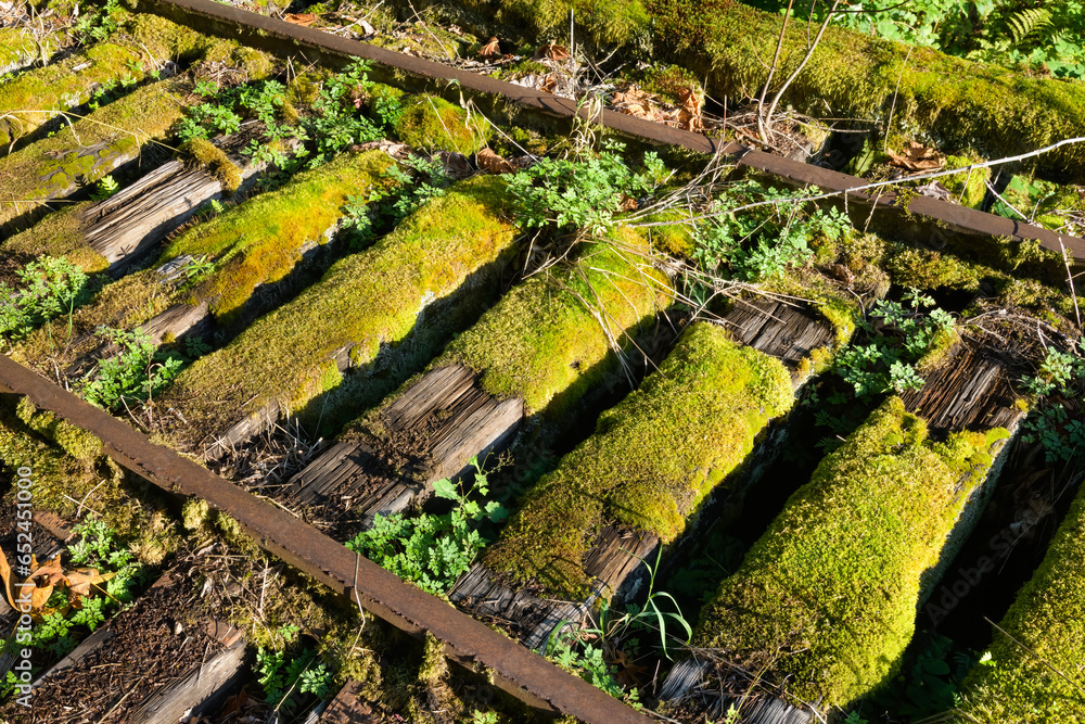 Moss covered wooden railway sleepers on disused abandoned railroad ...