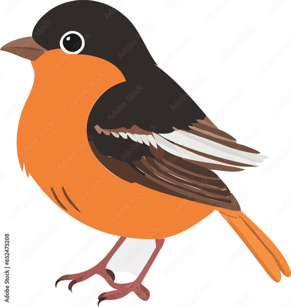 bird vector illustration. A beautiful and detailed illustration of a ...