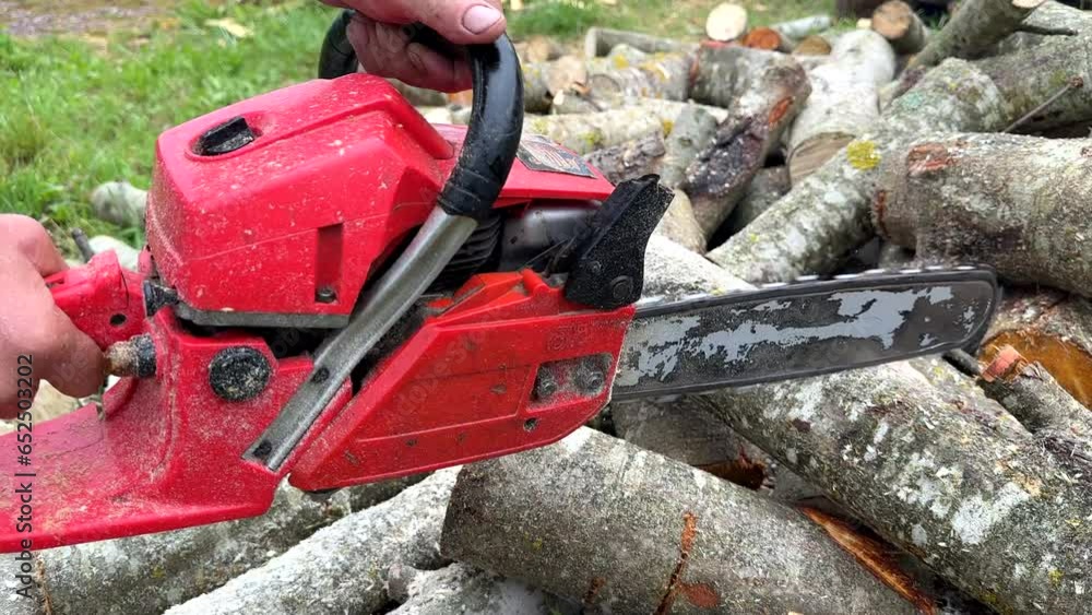 Woodcutter with Chainsaw on forest work. Preparing firewood for winter ...