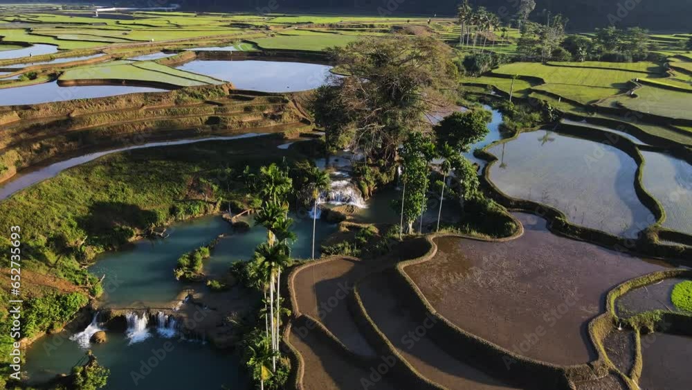 Terraced Rice Field And Weekacura Waterfalls In West Sumba, East Nusa ...