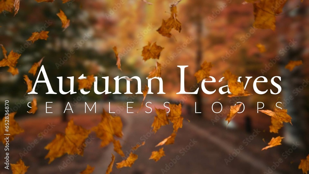 Autumn Leaves Loops Stock Template | Adobe Stock