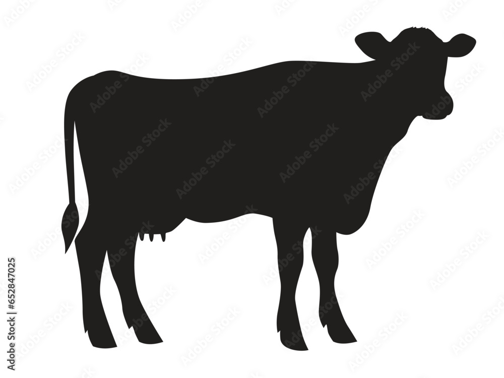 Silhouette of a cow, side view. Vector illustration isolated on white ...