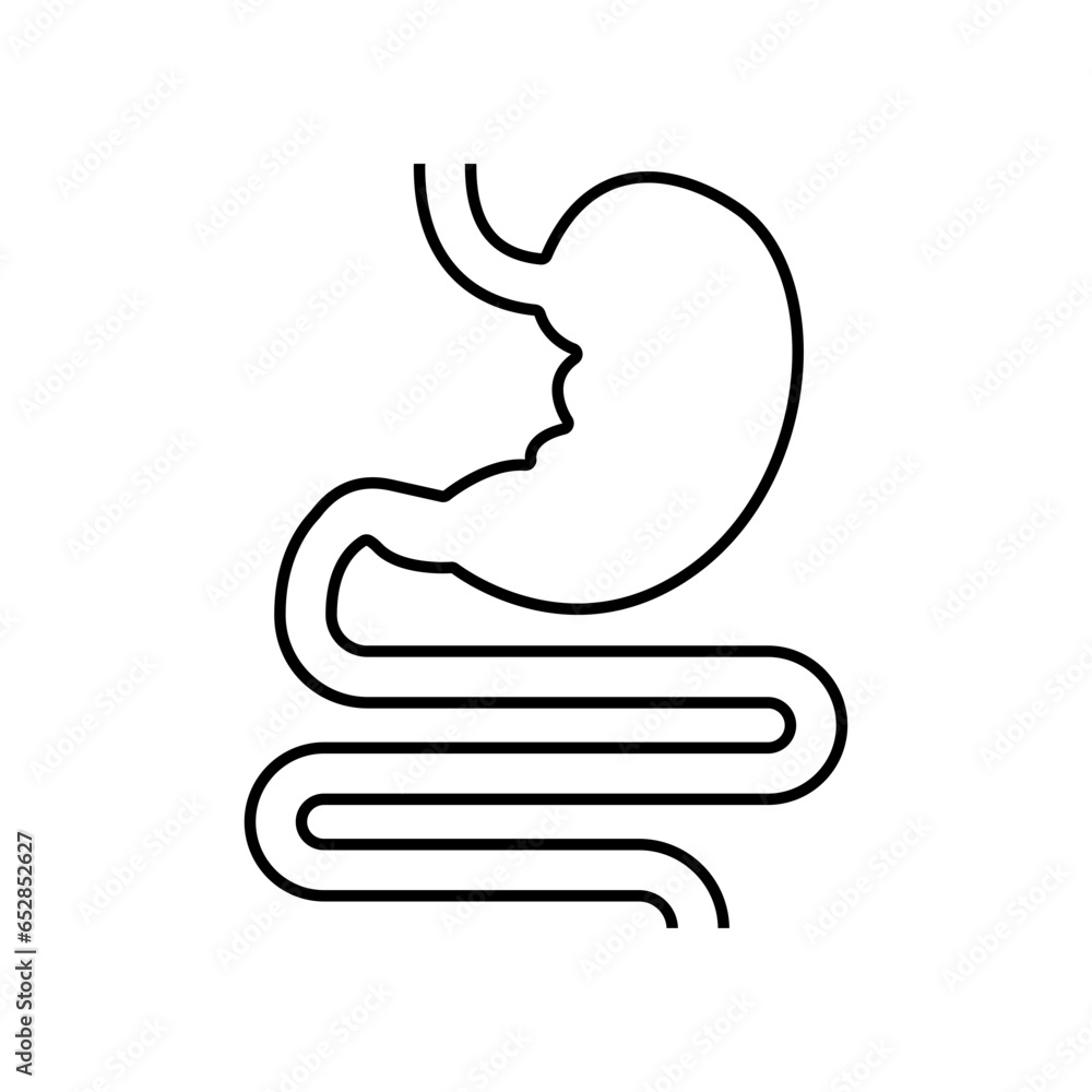 Digestive system, Human stomach and gastrointestinal system Infographic ...