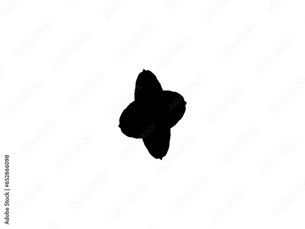 Compass rotation animation. Compass animation element for gif banner ...