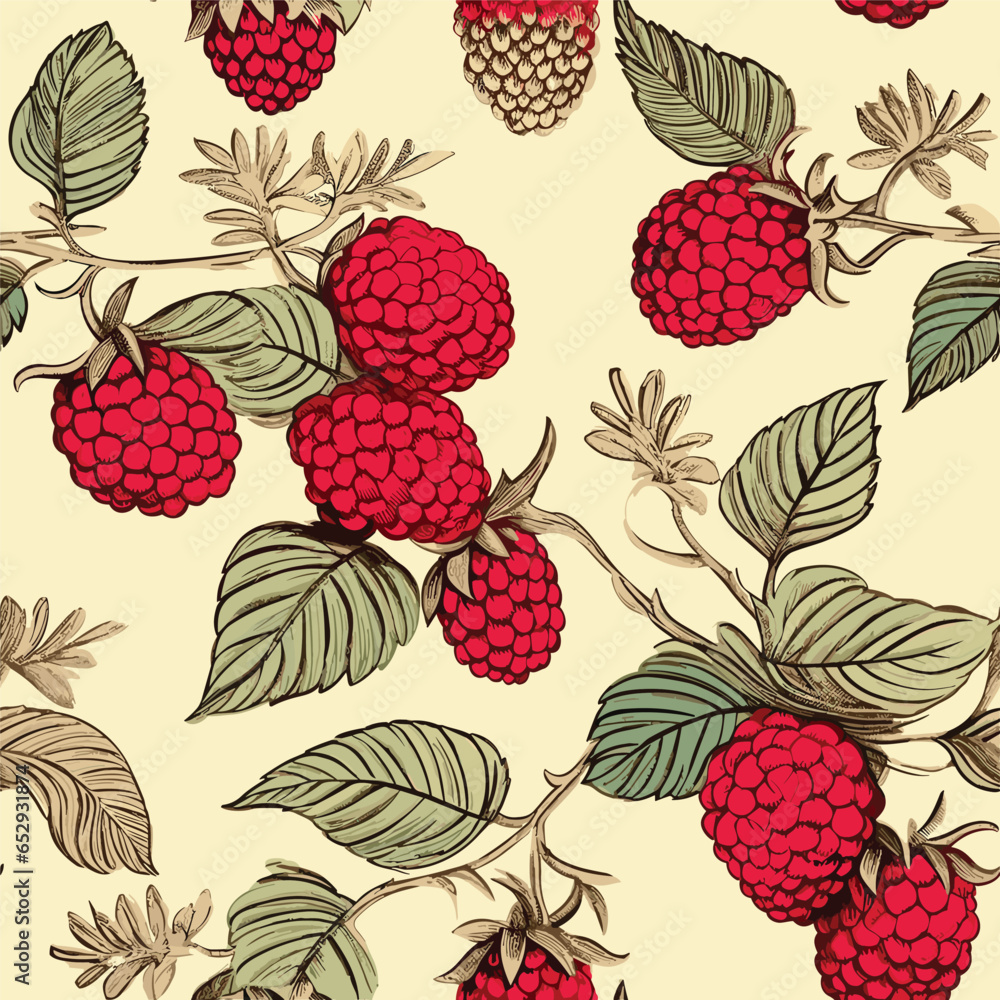 Seamless vintage pattern with raspberry berry. Hand drawn raspberries ...