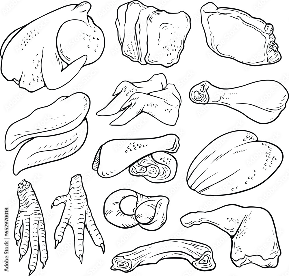 Raw chicken meat sketch, uncooked hen ingredients set. Parts of fowl to ...