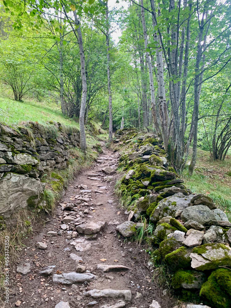Sentier forestier à Courmayeur sur le circuit du TMB Stock Photo ...
