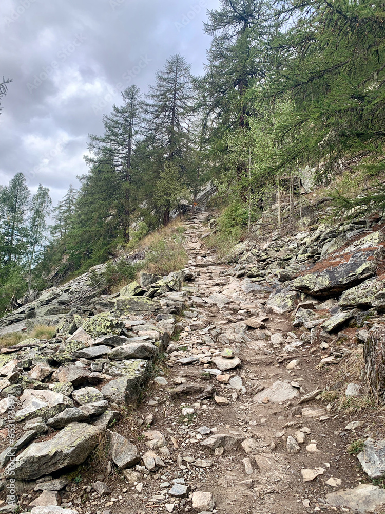 Sentier forestier à Courmayeur sur le circuit du TMB Stock Photo ...