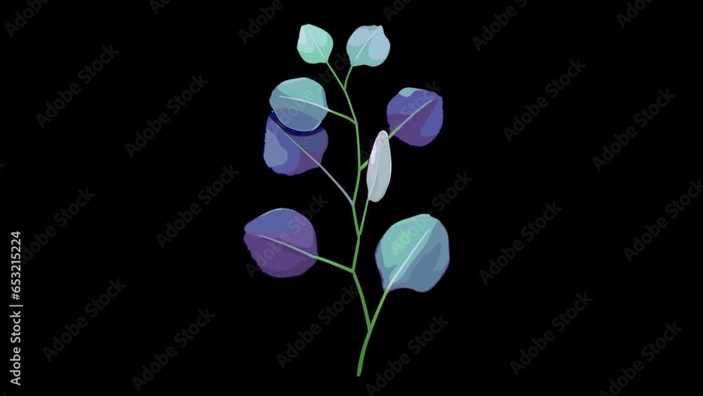 Growing leaf's animation on transparent background. Leaf animation 16 ...