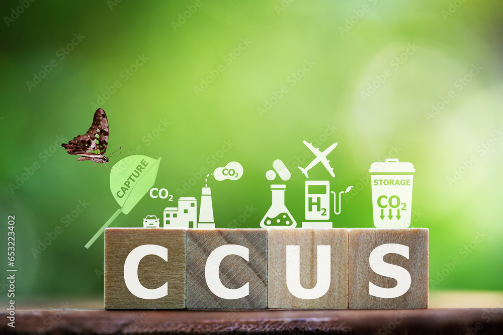 CCUS text on woods and icons. Capture, store and utilize carbon dioxide ...