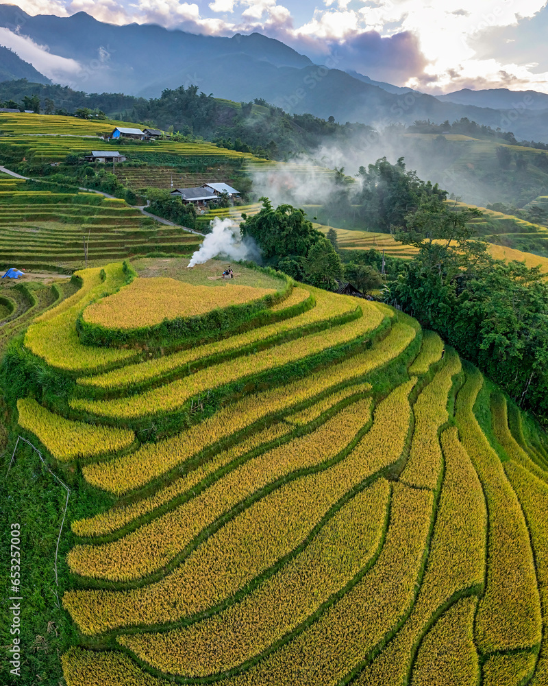 Aerial view of rice field or rice terraces , Sapa, Vietnam. Y Linh Ho ...