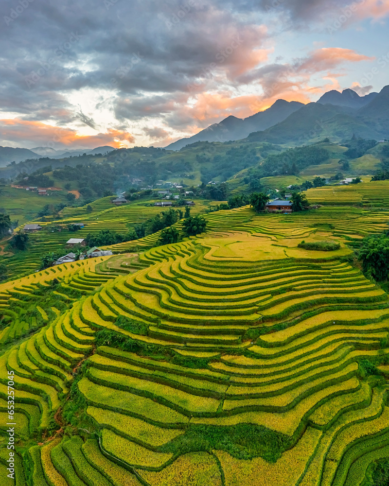 Aerial view of rice field or rice terraces , Sapa, Vietnam. Y Linh Ho ...