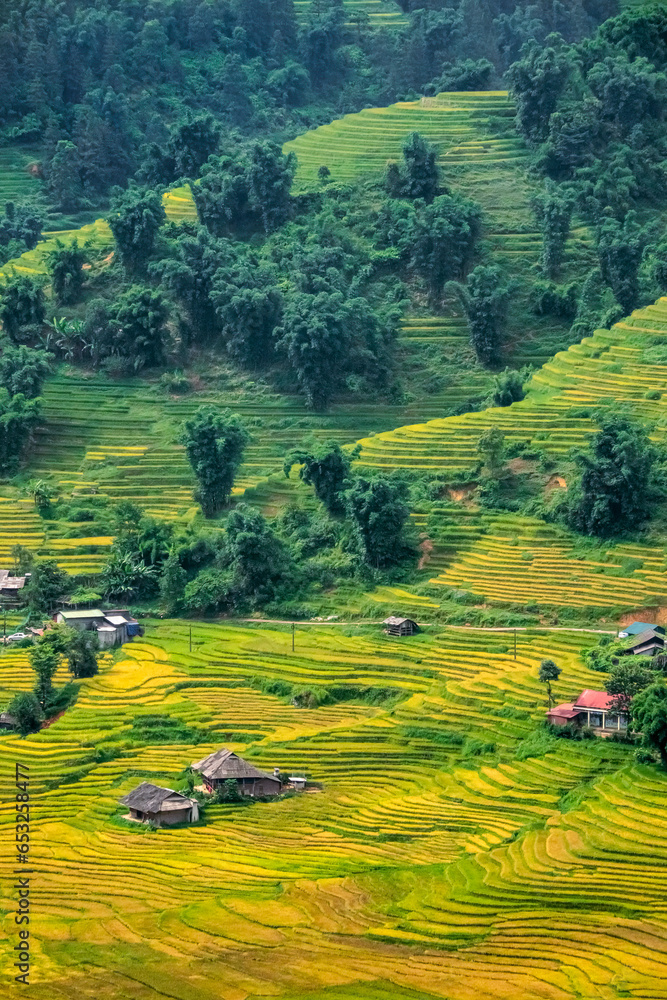 Aerial view of rice field or rice terraces , Sapa, Vietnam. Lao Chai ...