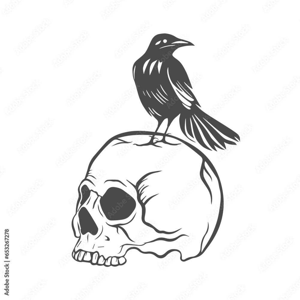 Crow on Skull svg, Skull vector, Halloween svg, Skull svg, Crow Cut ...