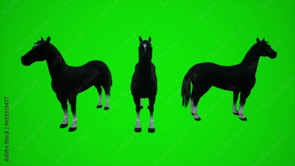 3D black horse animation from three different angles to visualize the ...