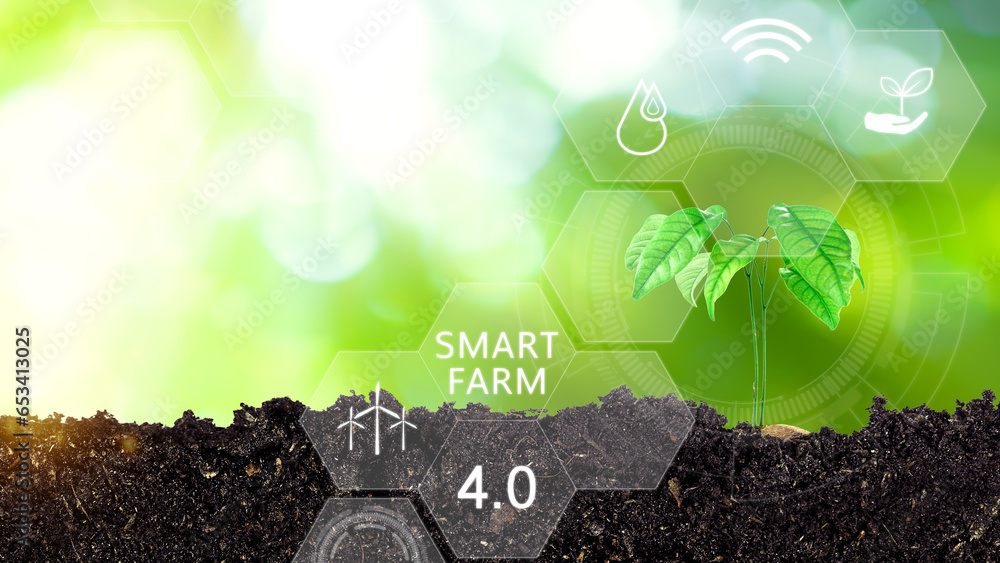 Young plant with cyber display of technological smart farming 4.0 Smart ...