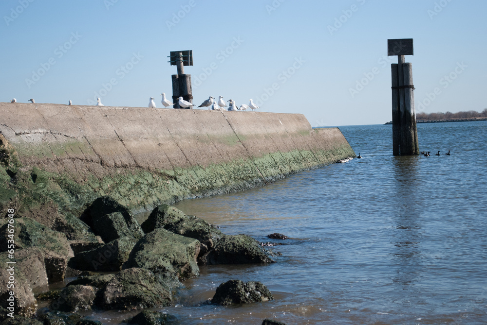 Perspective view of a concrete sea wall covered in moss. On top of the ...