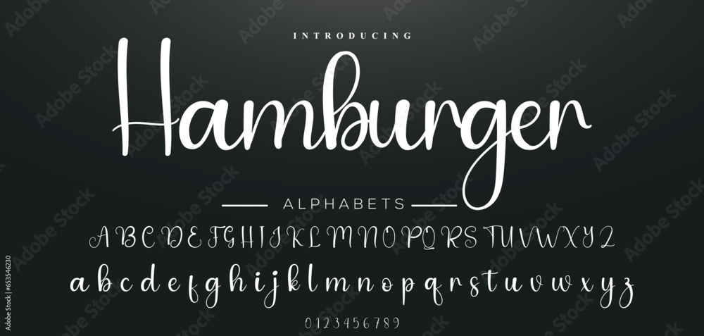 Hand drawn vector alphabet. Script font. Isolated letters written with marker, ink. Calligraphy ...