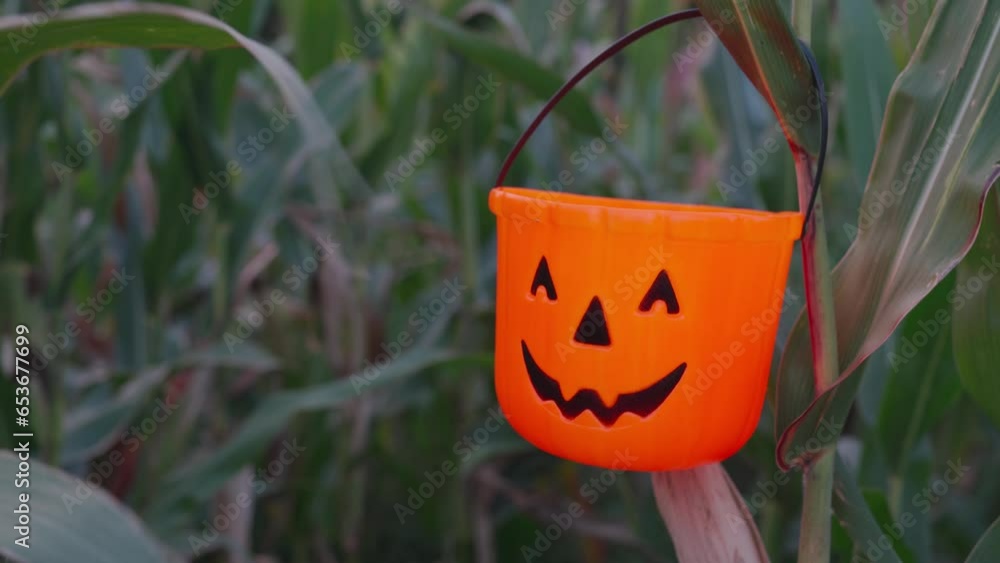 Sways jack-o-lantern hanging on on a stalk of corn in a dark gothic ...