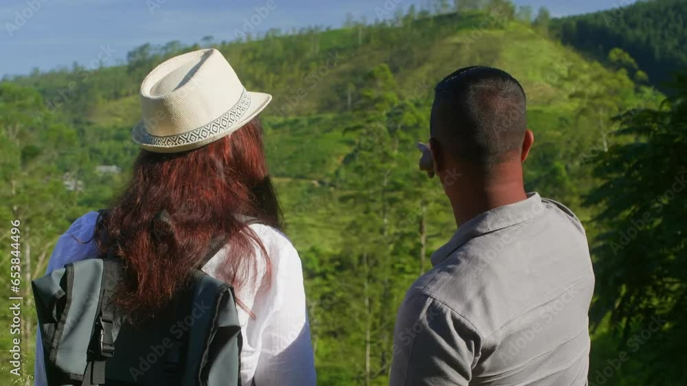 Male guide guiding female trekker while pointing at forest on mountain ...