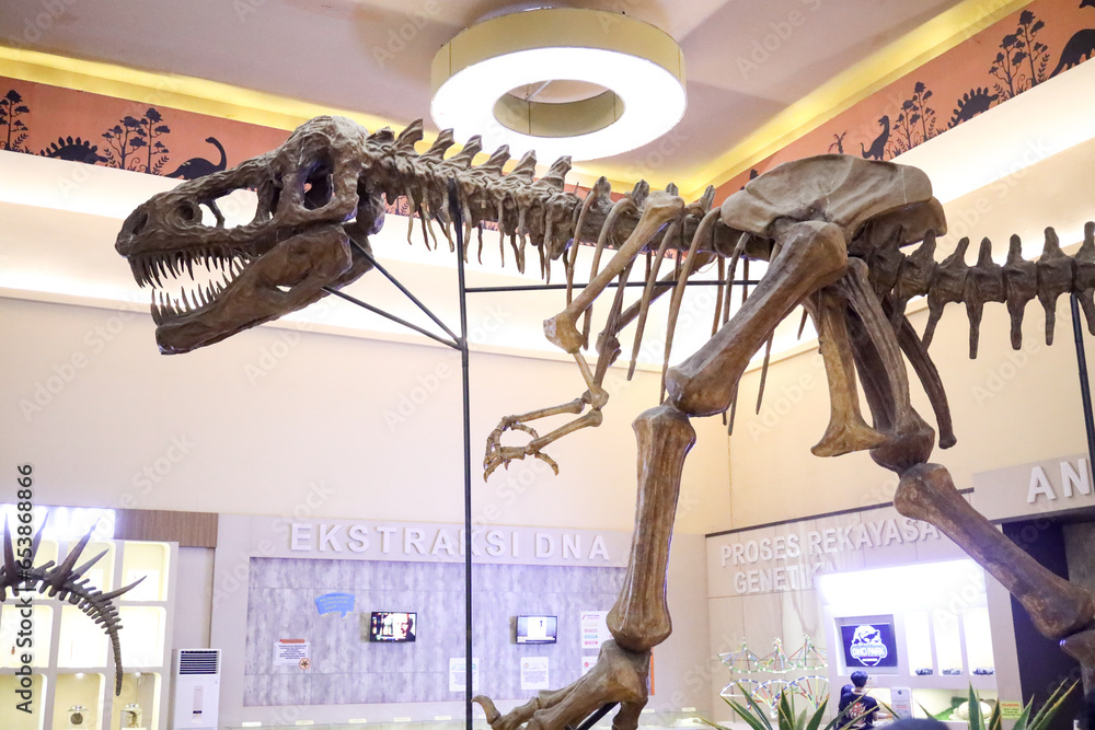 East Java, Indonesia - August 14, 2023. Fossil and Satue of a T-rex ...