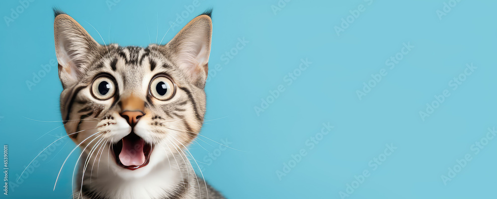 Surprised shocked cat face with open mouth and big eyes isolated on ...