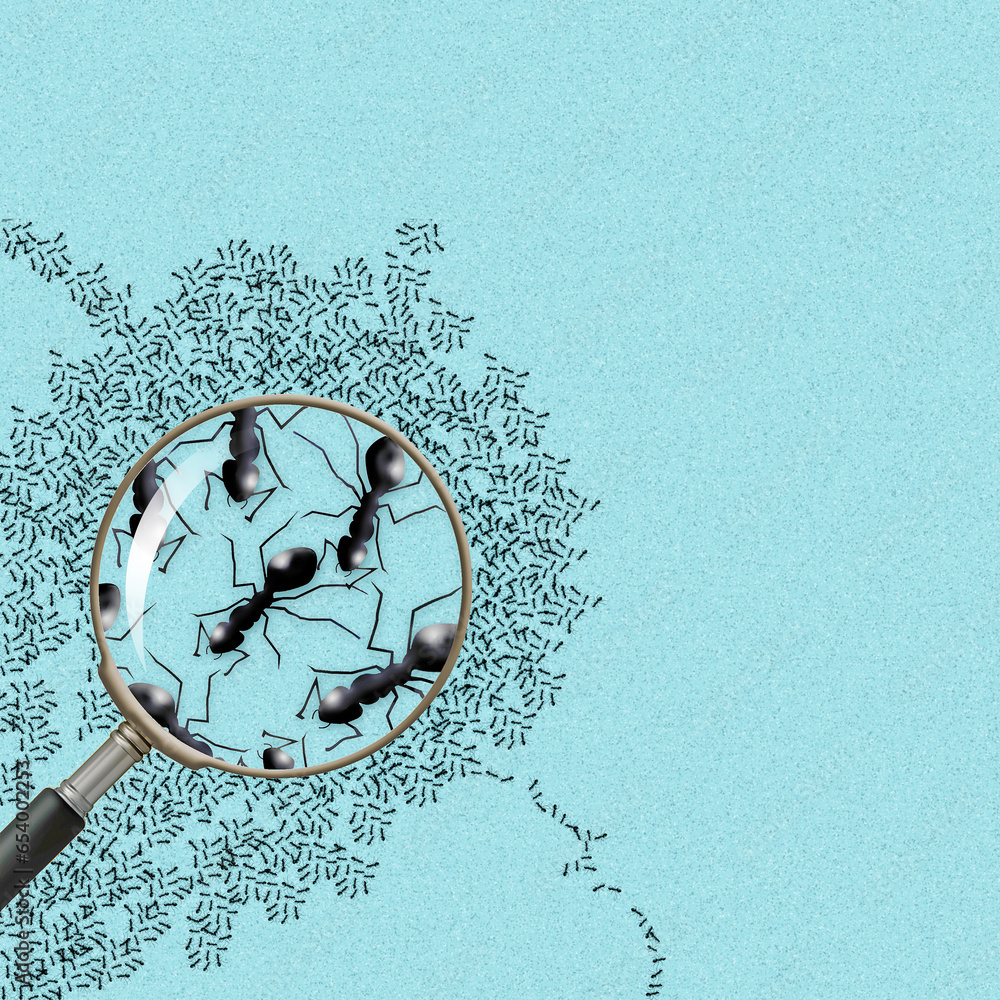 An infestation of black ants is seen under a magnifying glass in a 3-d ...