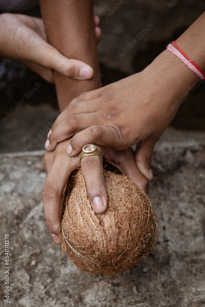 Three friends breaking coconut with their hands. Ritual of Hindus ...